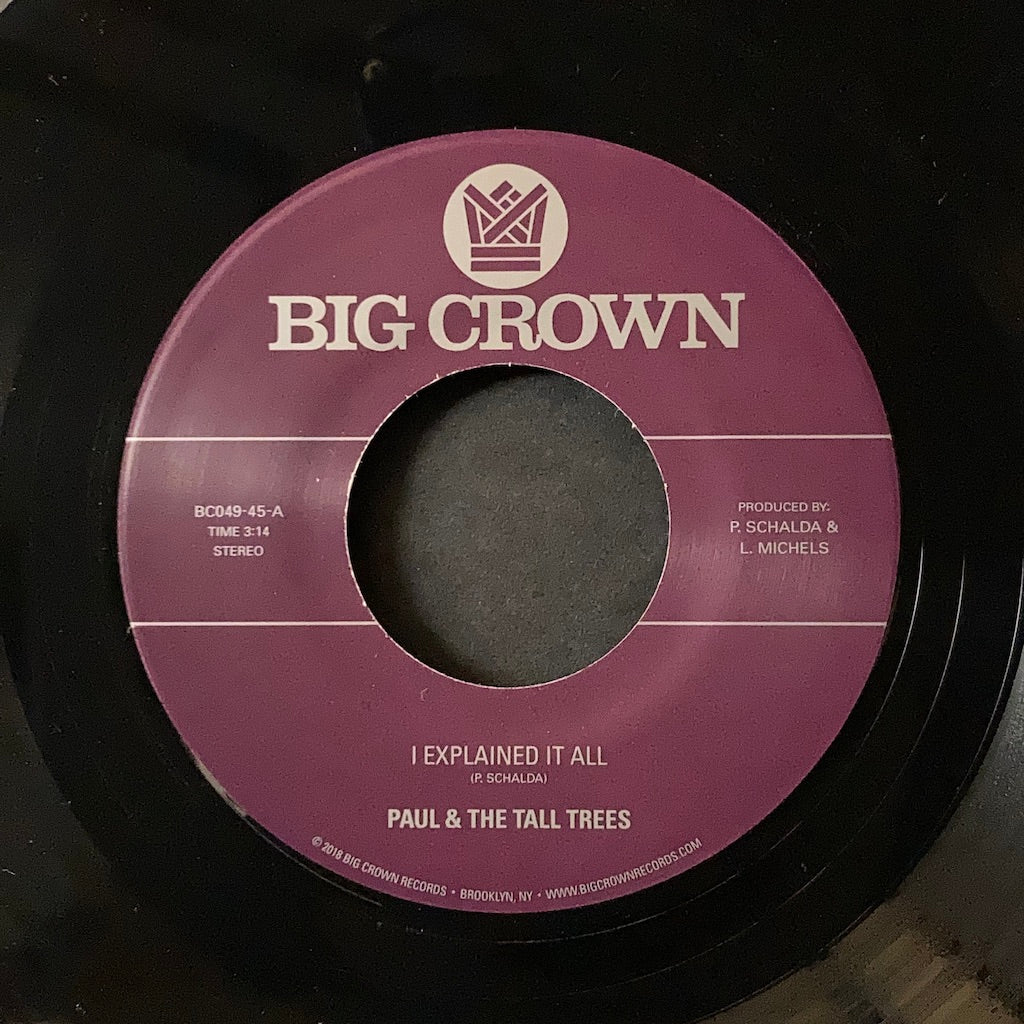 Paul & The Wall Trees/Matison - I Explained It All/Watch Out 7" – AGS ...