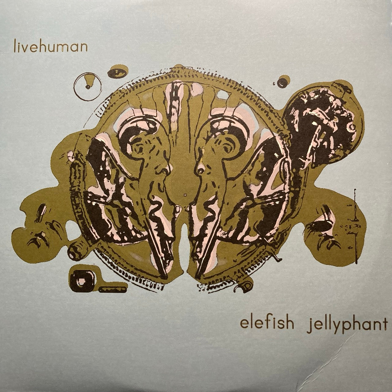 Livehuman - Elefish Jellyphant – AGS Honolulu