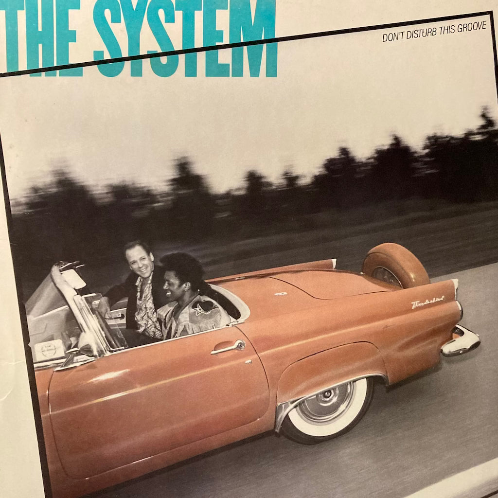 The System - Don't Disturb This Groove – AGS Honolulu
